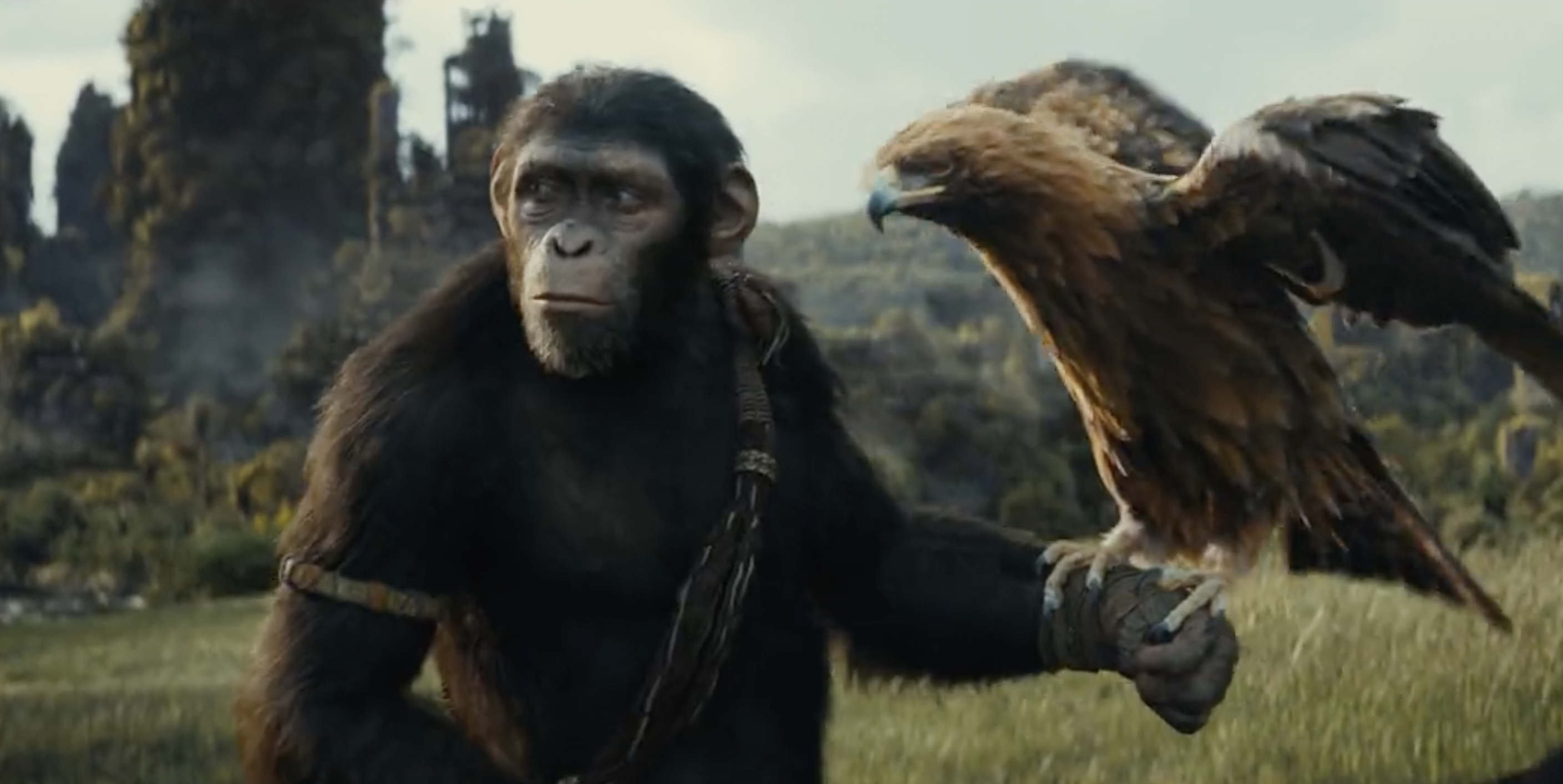 Box Office May 10-12: ‘Kingdom of the Planet of the Apes,’ ‘The Fall ...